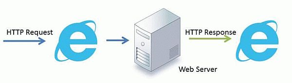 How Many Types Of Server Controls Are Supported By Asp Net - Design Talk